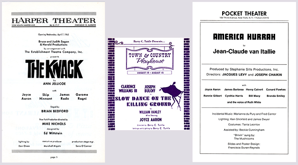 Joyce Aaron: Actor, Director, Teacher | Westbeth
