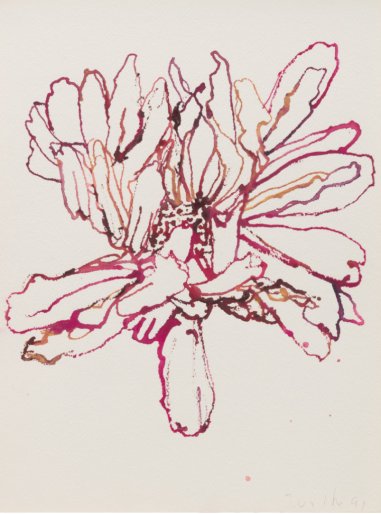 Hannah Wilke: Flowers 1973 - 1991 | Westbeth