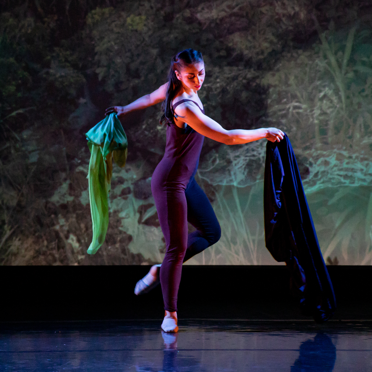 Beth Soll & Company: Four Dancers, One Choreographer and One Musician ...
